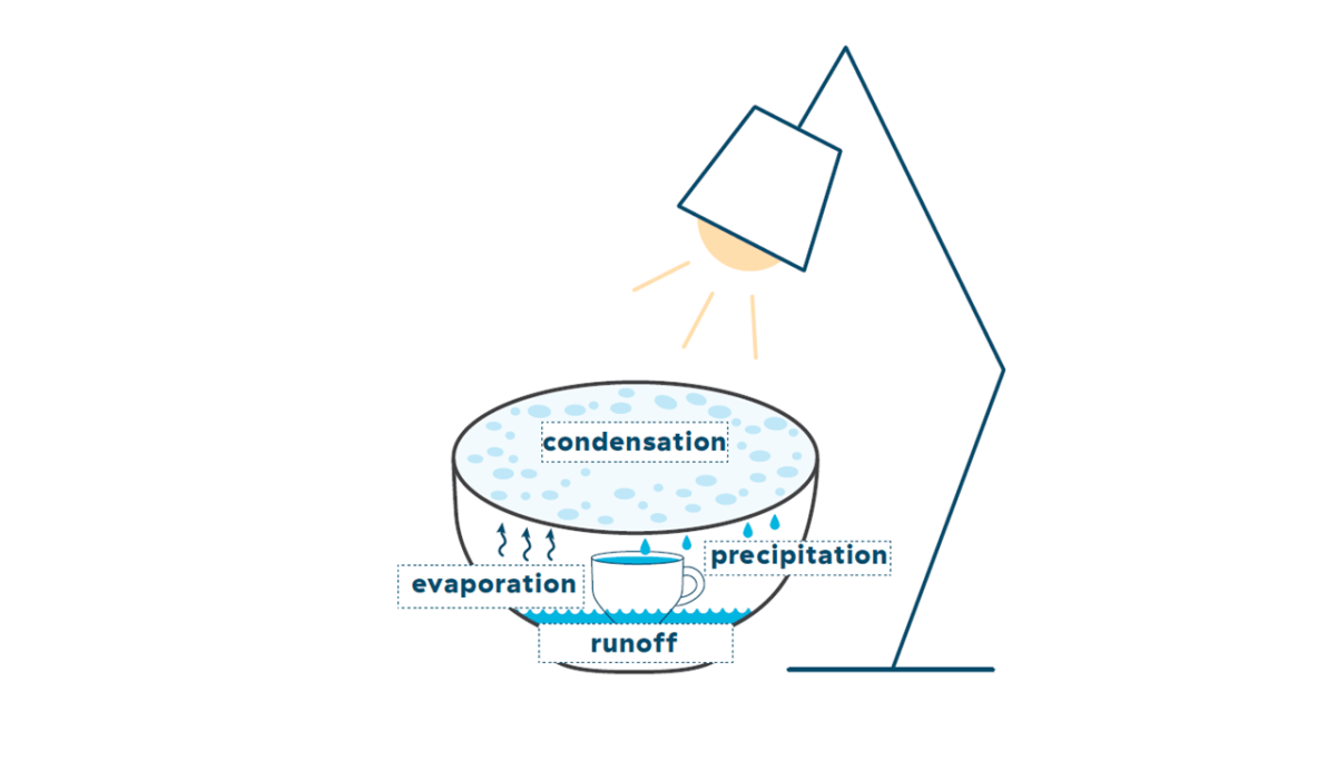 Grade 2 water cycle experiment | BCHydro Power Smart for Schools