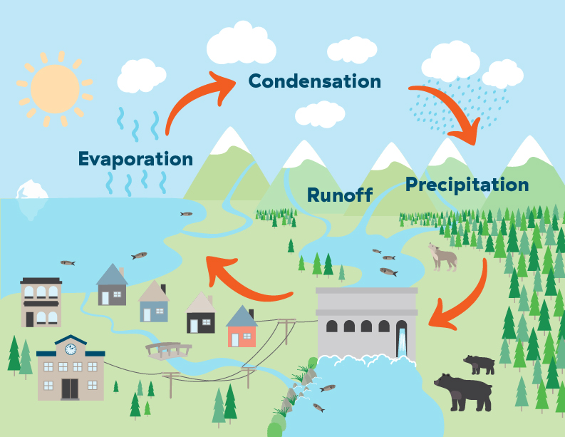 Catch The Rain BCHydro Power Smart For Schools